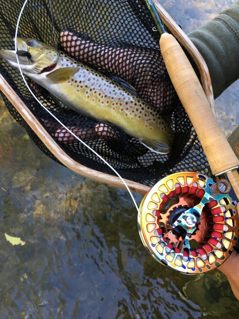 Winter Thoughts from the Mad River - Morrett Fly Fishing